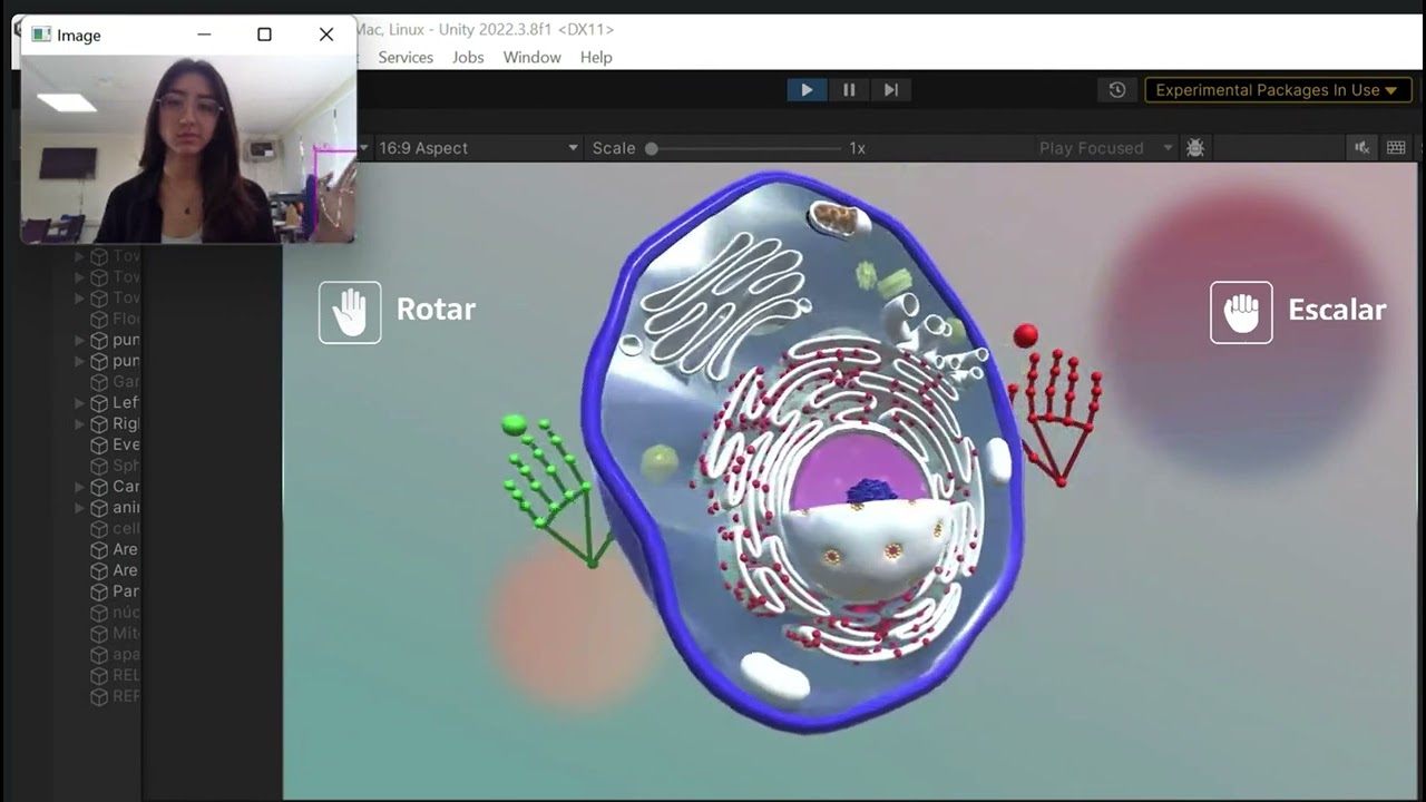 3D Hand Tracking: Unity - Python - OpenCV