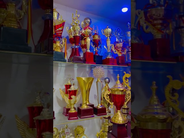 School Shield And Trophy - School Sports Shield Manufacturer from Rajkot