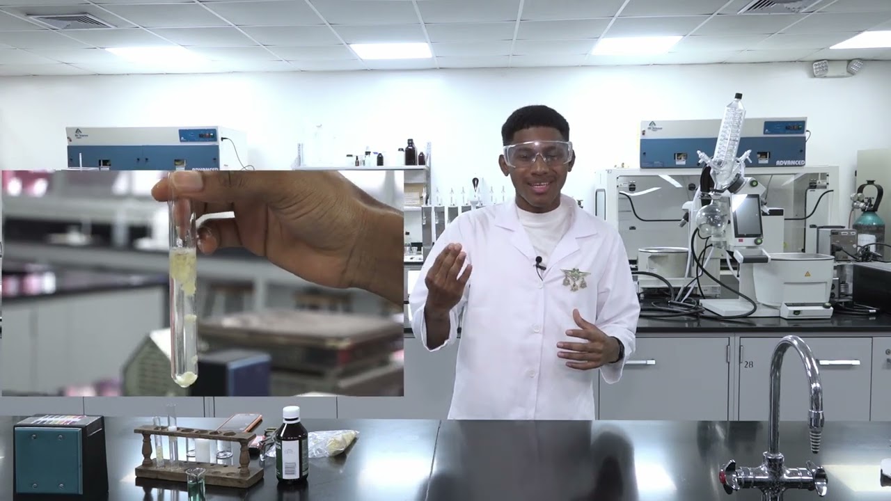 Química Viva