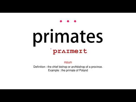 How to pronounce primates - Vocab Today