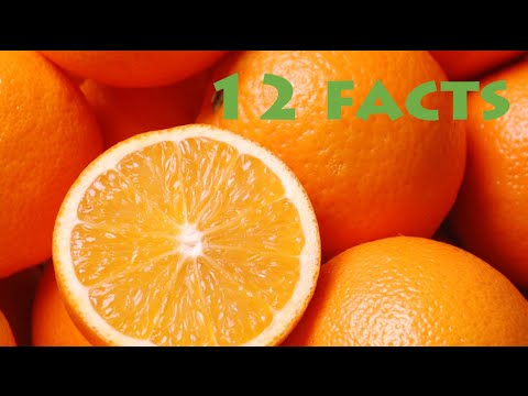12 Facts About Oranges!