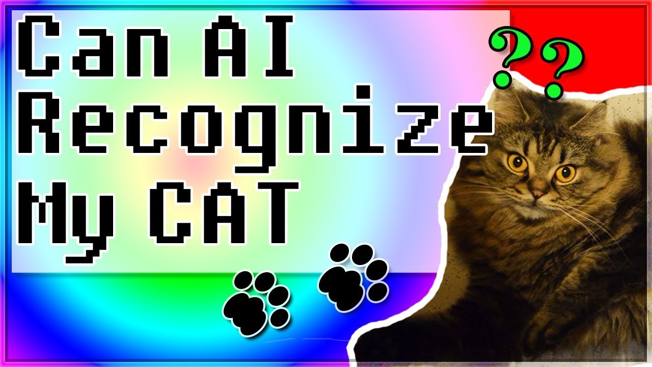 Can AI Recognize my Cat?