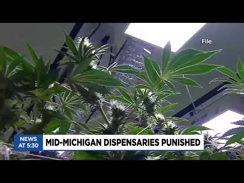4 mid-Michigan dispensaries to pay hefty fines for CRA noncompliance
