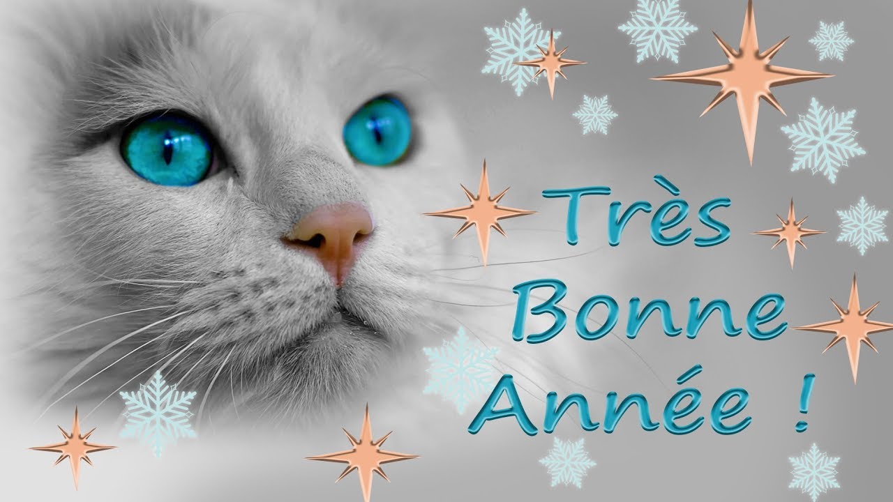 Carte de vœux - Bonne année 2025 - Chats chatons