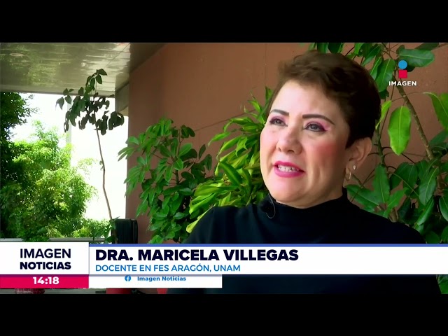 Albacea en el testamento: qué es y cuáles son sus funciones