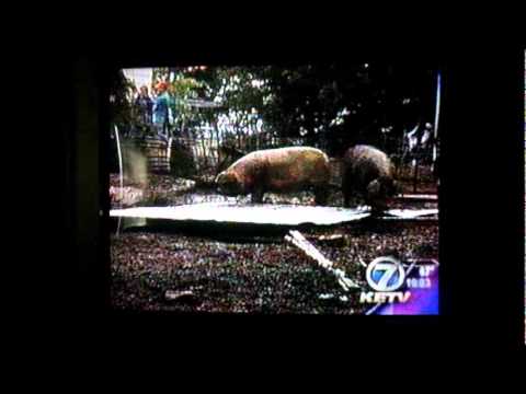 Tuesday, June 13, 2000 KETV COVERAGE of: Omaha, NE & Essex and Red Oak, IA Tornadoes