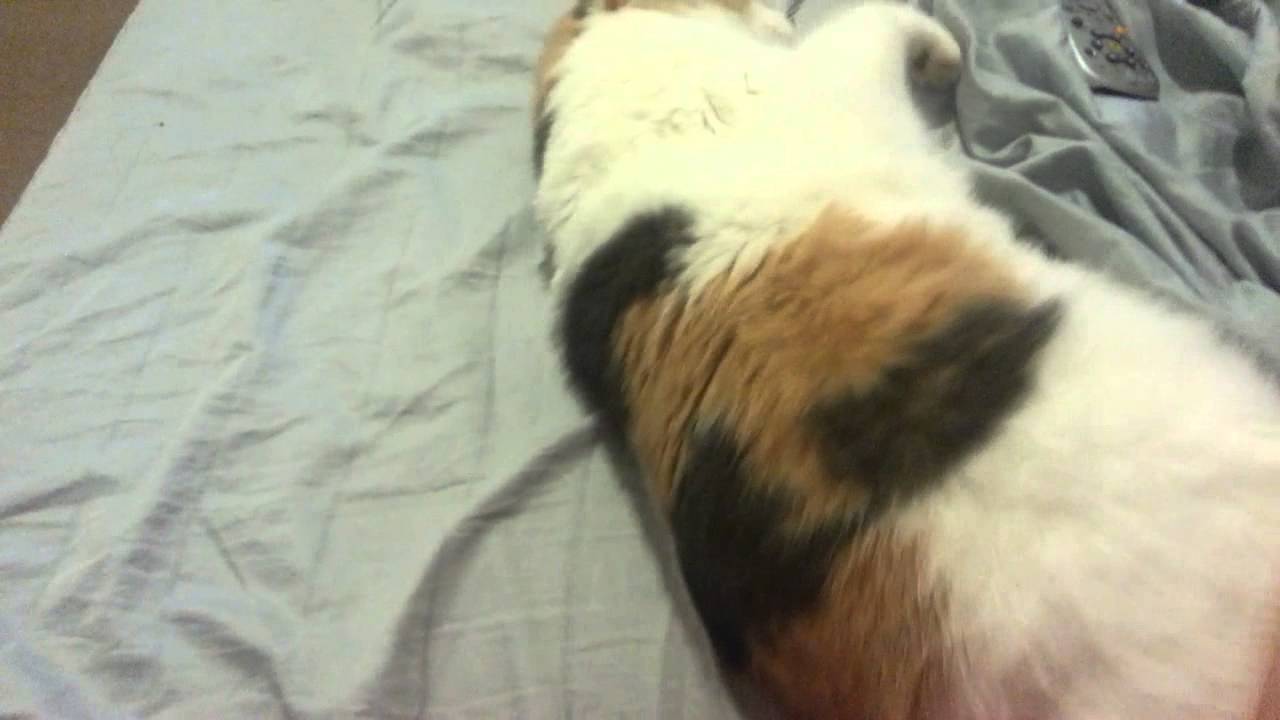 Pussy likes being spanked
