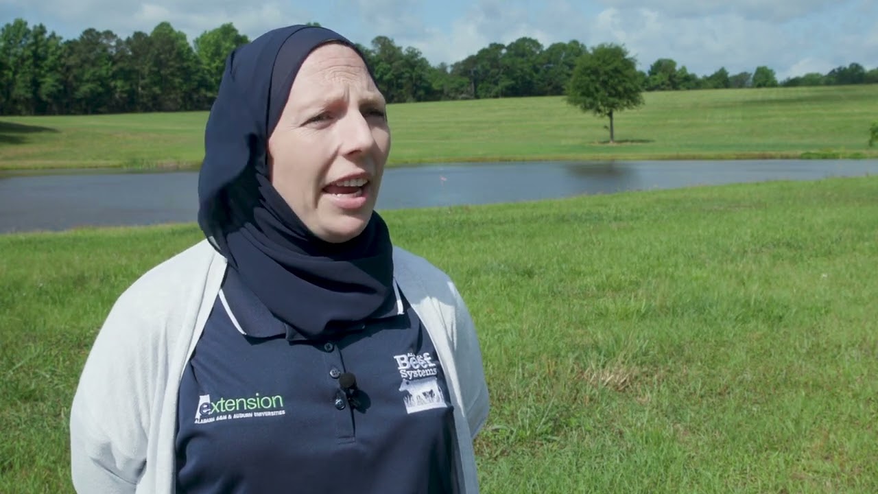 Down to Earth: Forages & Grazing