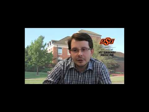 Vet Med Faces of Research: Dr. Fernando Bauermann