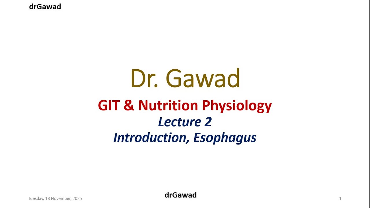 Lecture 2 - Introduction, Esophagus