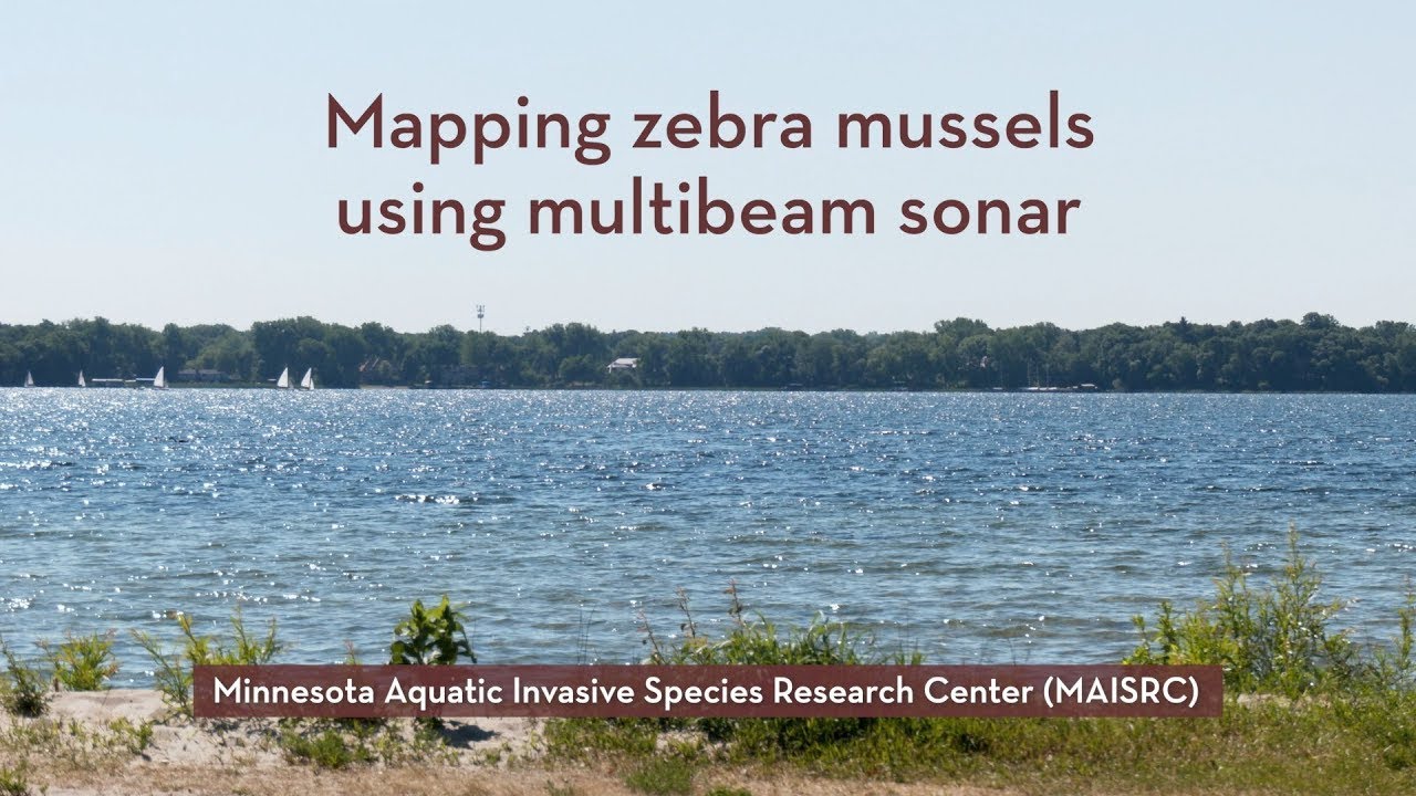 MAISRC | Mapping zebra mussels using multibeam sonar