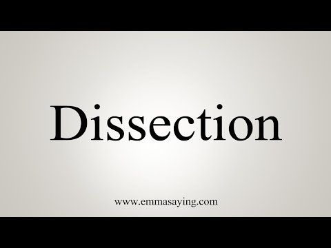 How To Say Dissection
