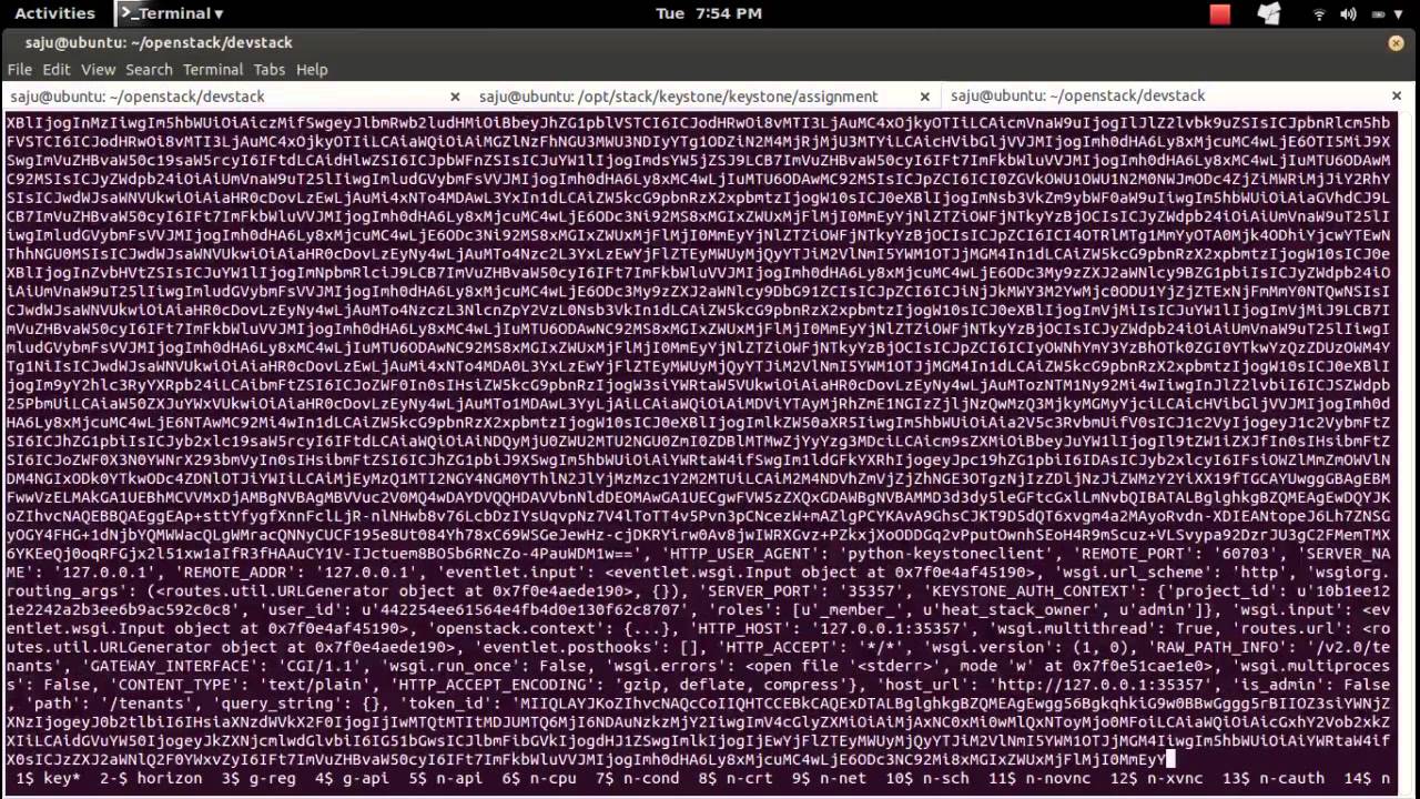 OpenStack Development Using DevStack