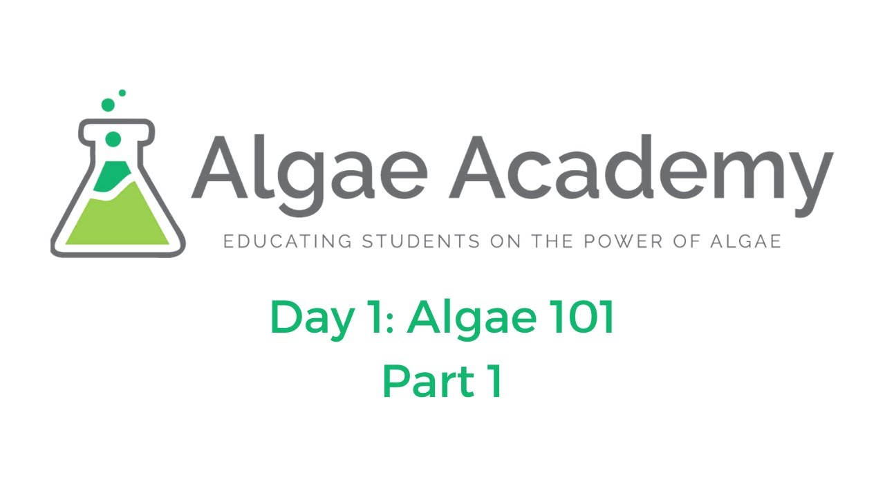 DAY 1: Algae 101 (Part 1, All Grade Levels)