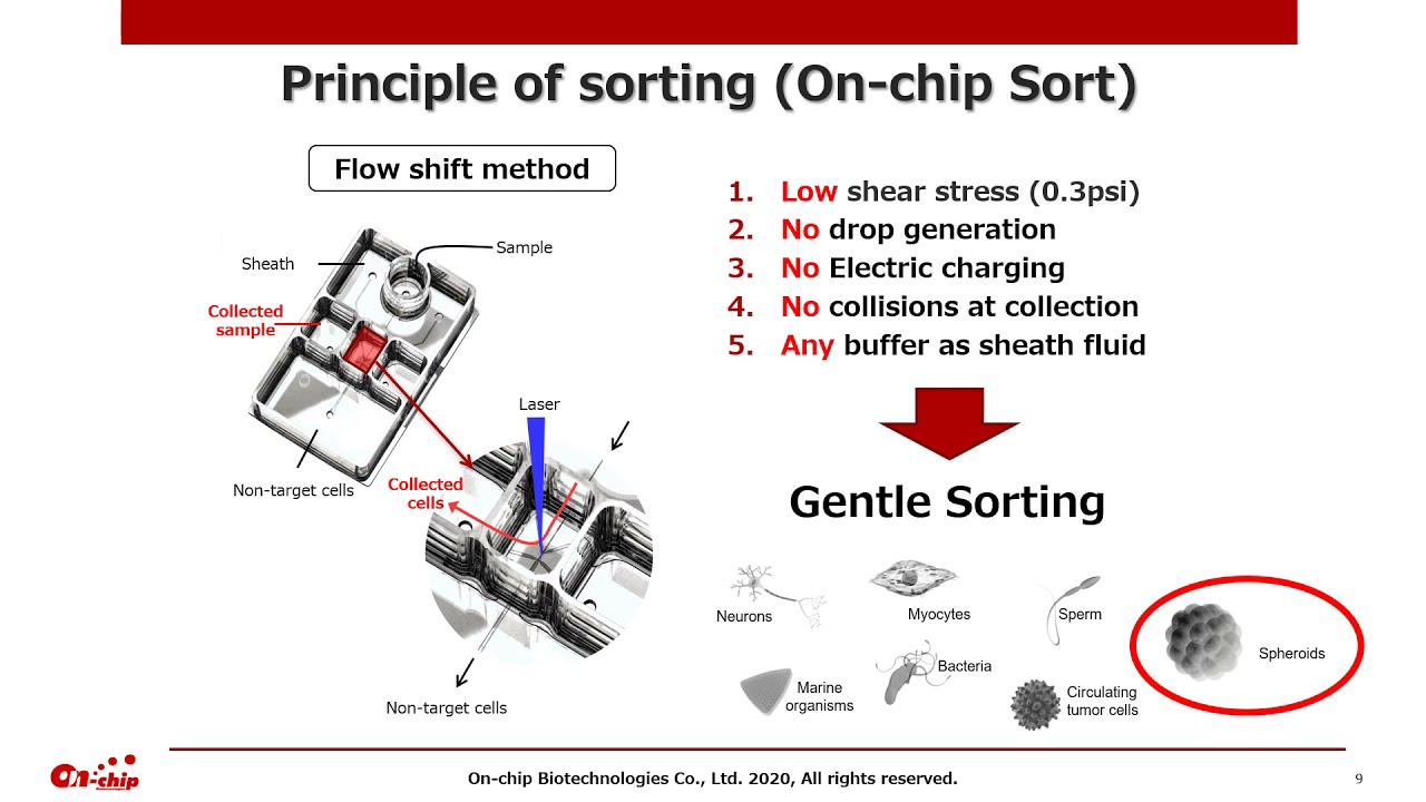 Tech Innovations for Stem Cell Sorting, 3D Modeling, and Oxygen Control
