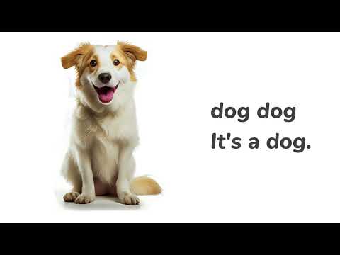 Learn letter D | English for beginners | Learn English