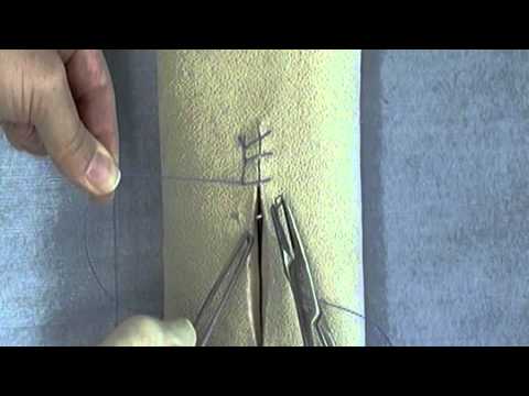 Ford Interlocking Suture Pattern – Titre du site