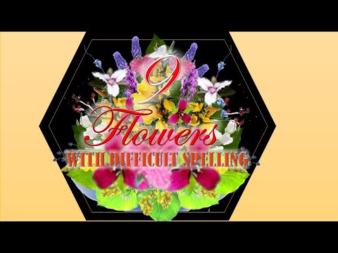 FLOWERS WITH NAMES DIFFICULT TO SPELL OR PRONOUNCE (PART 9) | SCIENTIFIC NAMES