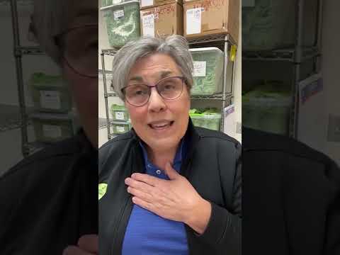 Ask a Flower Farmer!