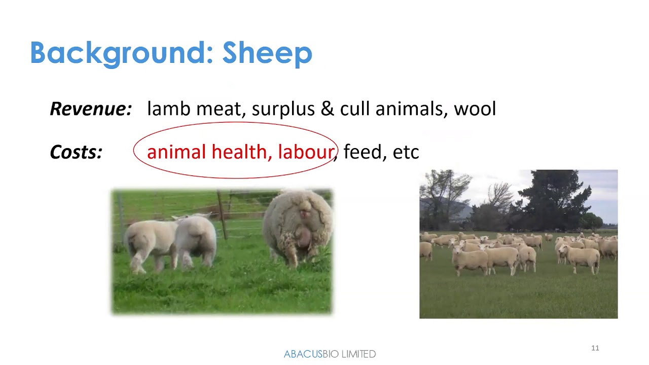 Peter Fennessy: Survey-based methods in the design of breeding programs