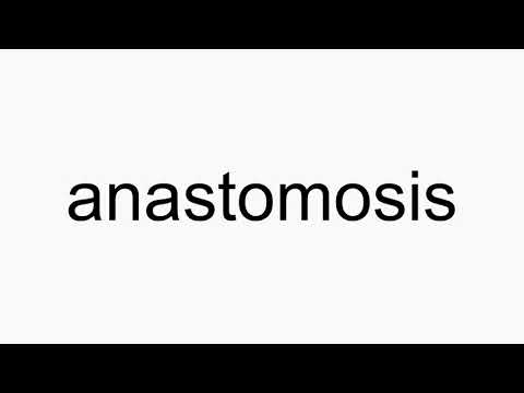 How to pronounce anastomosis