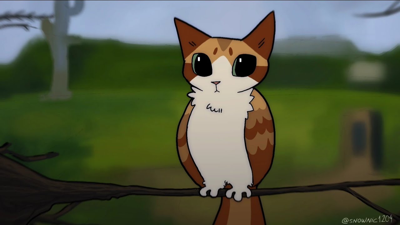 meowl 
