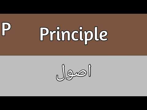Principle Meaning In Urdu