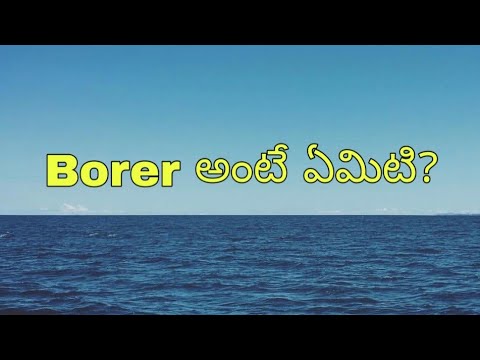 what is Borer ? in telugu