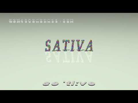 sativa - pronunciation + Examples in sentences and phrases