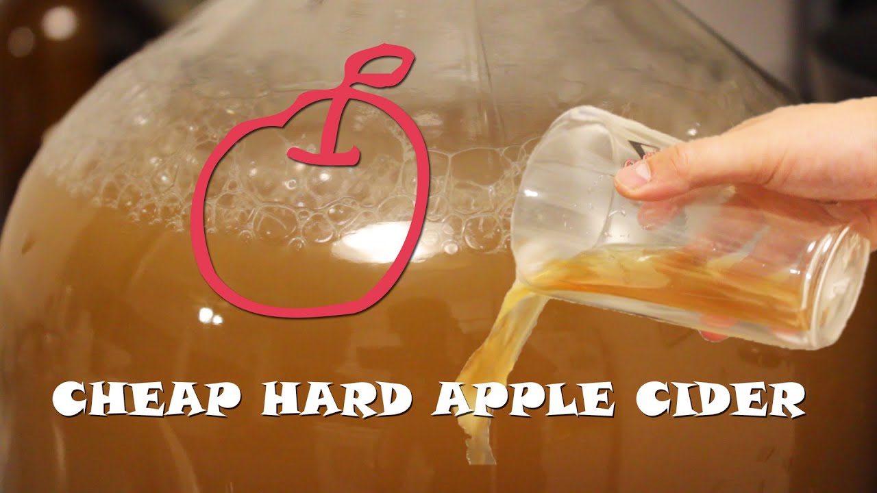 How to Make a Cheap Hard Apple Cider