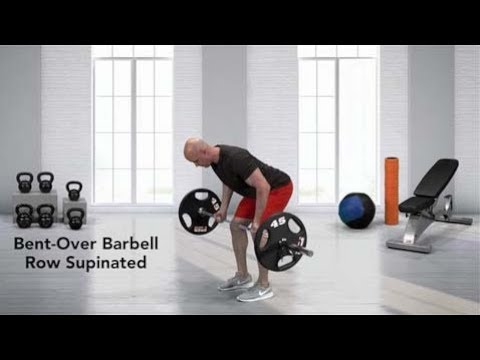 How To Do A Supinated Bent-Over Barbell Row – Irene Pastore Fitness.com