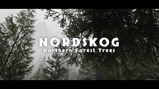 Skyrim's Most Underrated Tree Mod - NORDSKOG at Skyrim Special Edition ...