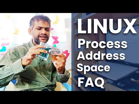x220 LINUX | Process Address Space | FAQ | Architecture | Big Picture #SystemsProgramming