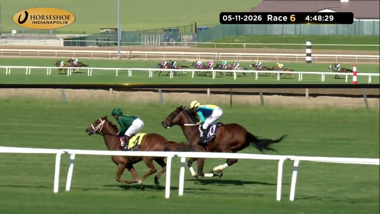 RACE 6 PROGRAM 05 11 2026