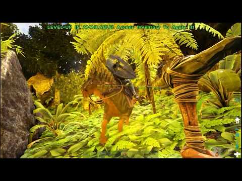 Steam Community :: Video :: Ark Gameplay: Invasion of the bushmen