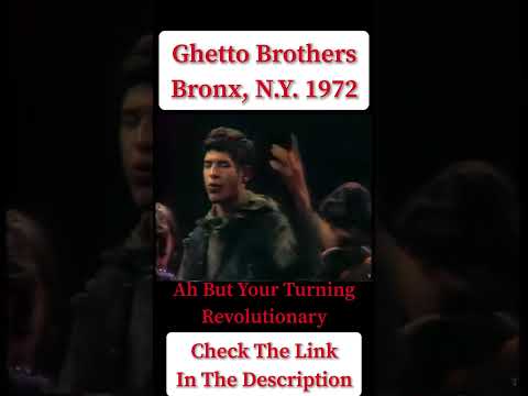 Ghetto Brothers Bronx, N.Y. 1972