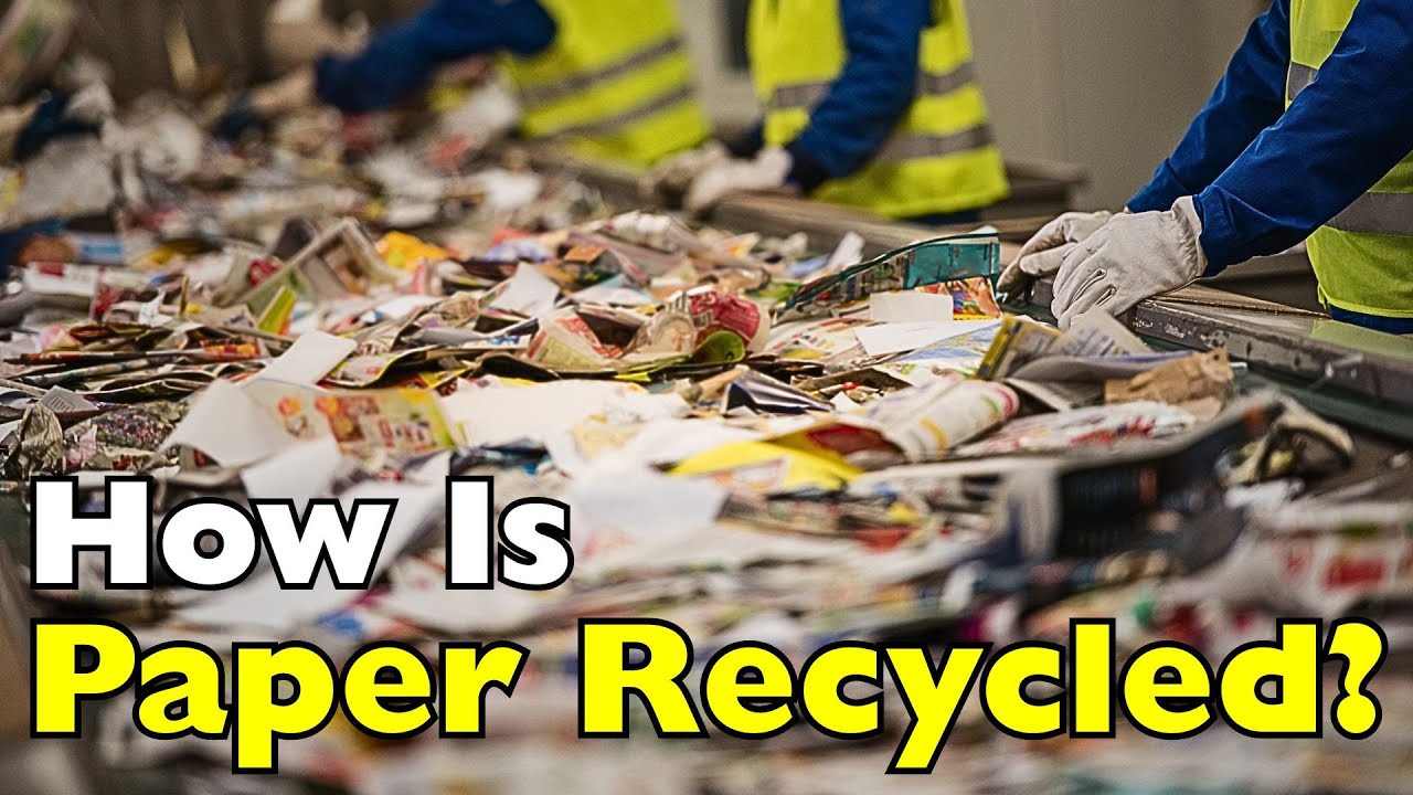 How Is Paper Recycled?