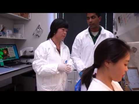 Everyday Remarkable: Behind the Scenes with Research Scientist Jianhua Zhang, PhD