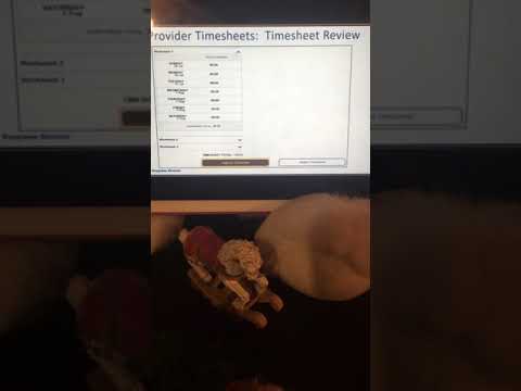 IHSS  EVV ￼Timesheet￼￼Short video￼