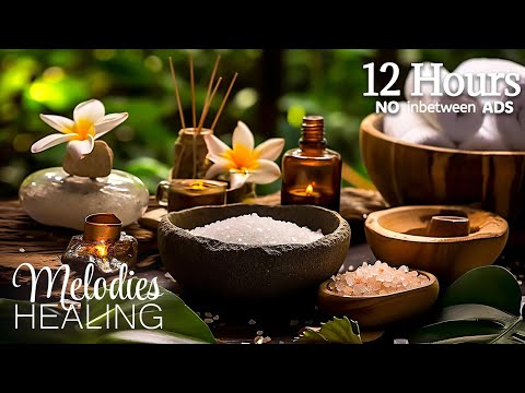 Spa Music No Ads ๐ฟ Relaxing Music to Rest the Mind, Stress, Anxiety ๐ฟSound of Flowing Water #1