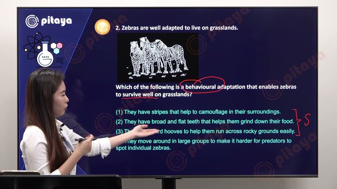 FREE Science Question Video Explanations-For Singapore P5-P6 students