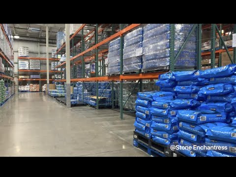 Costco Run | Carson City, NV