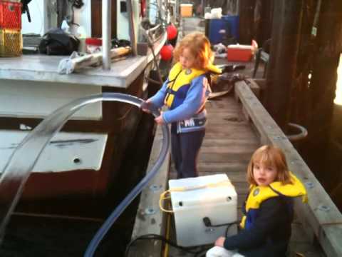KPM Bilge Predator Bilge Pump Demo | KPM Bilge Predator Bilge Pumps