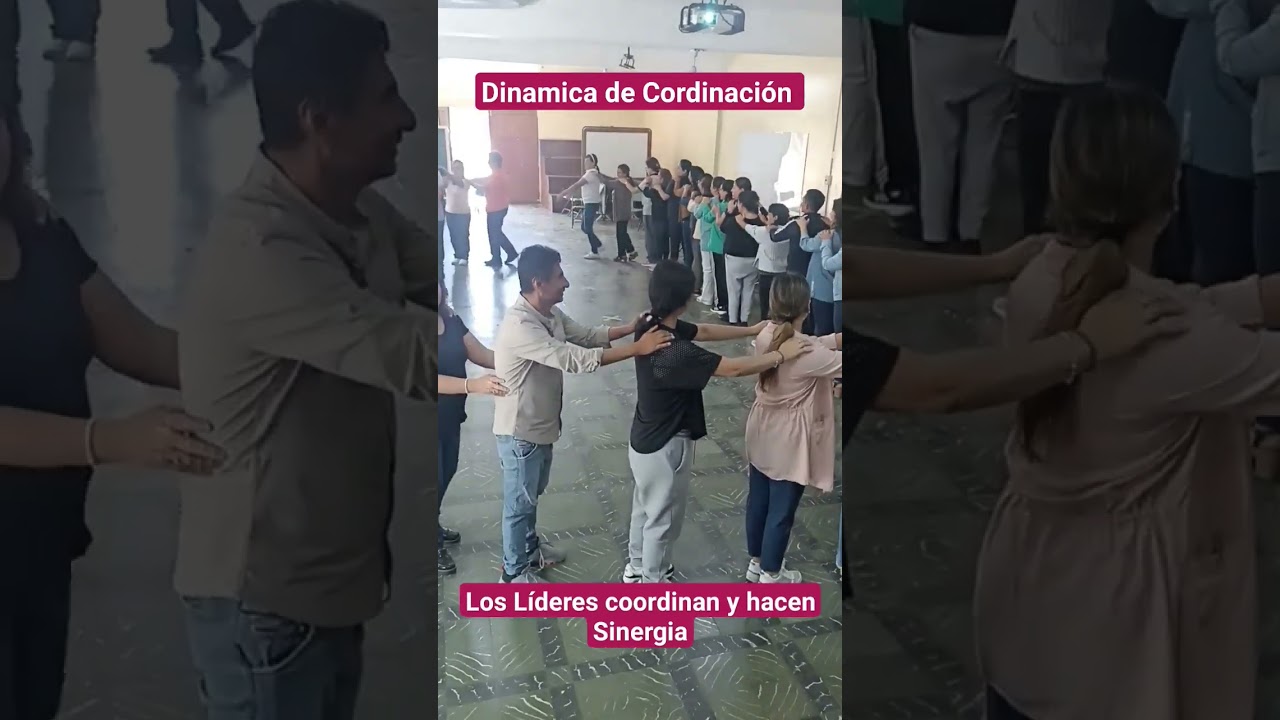 Dinámica de Coordinación y Sinergia