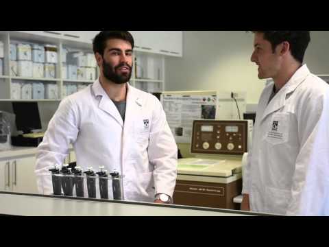 RNA and DNA Quantification
