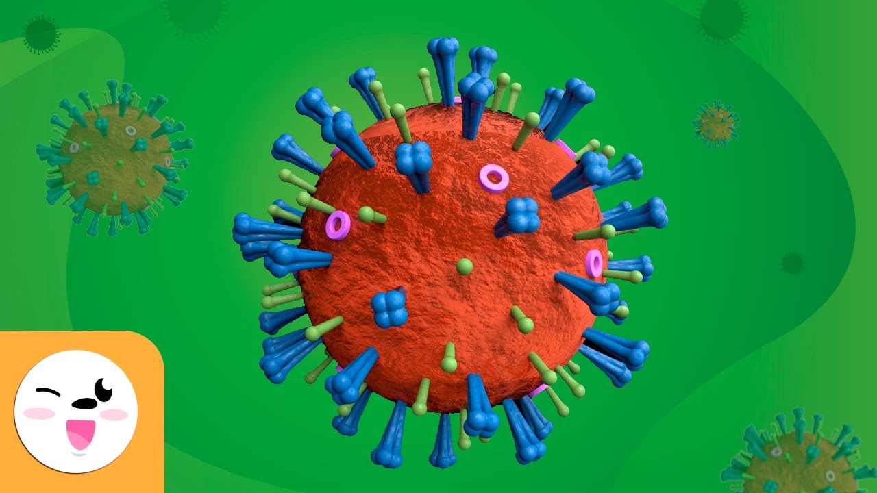 ¿Qué son los virus? - Ciencias para niños - Partes de los virus