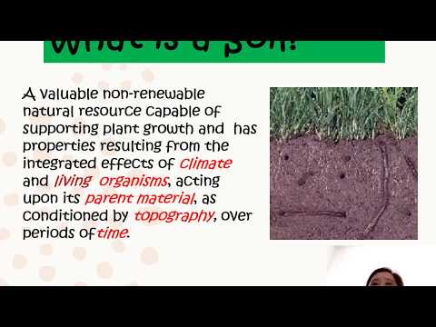 Definition and Composition of Soil