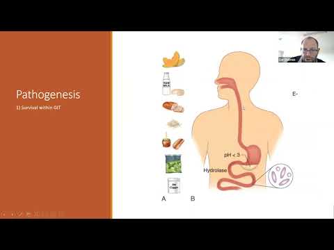 Listeria - Lior Chernick