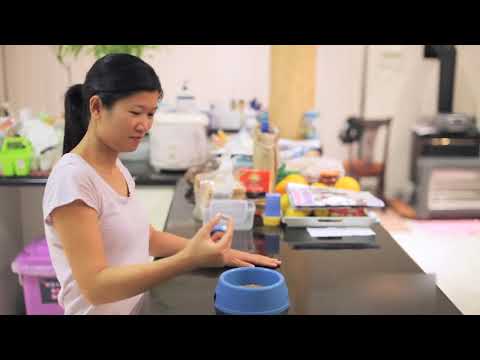 Giving your pet dog a tablet - AdelaideVet