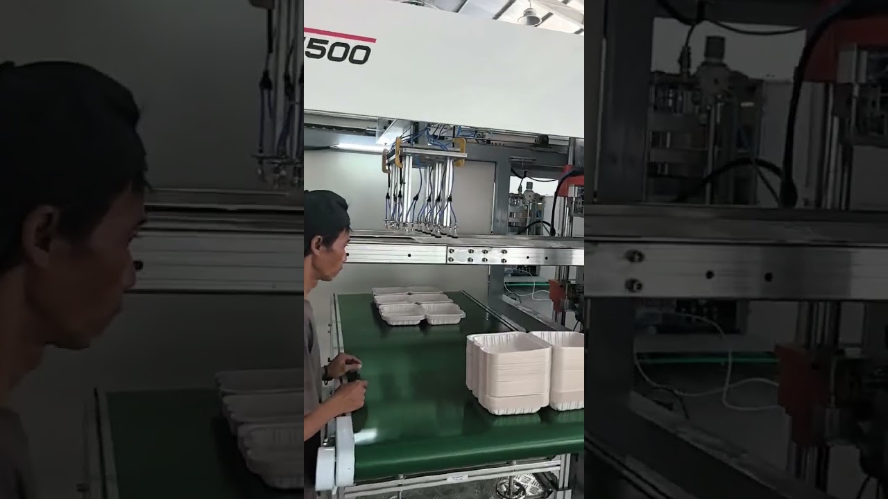 3 station thermoforming machine installed in Indonesia for food container, fruit trays.